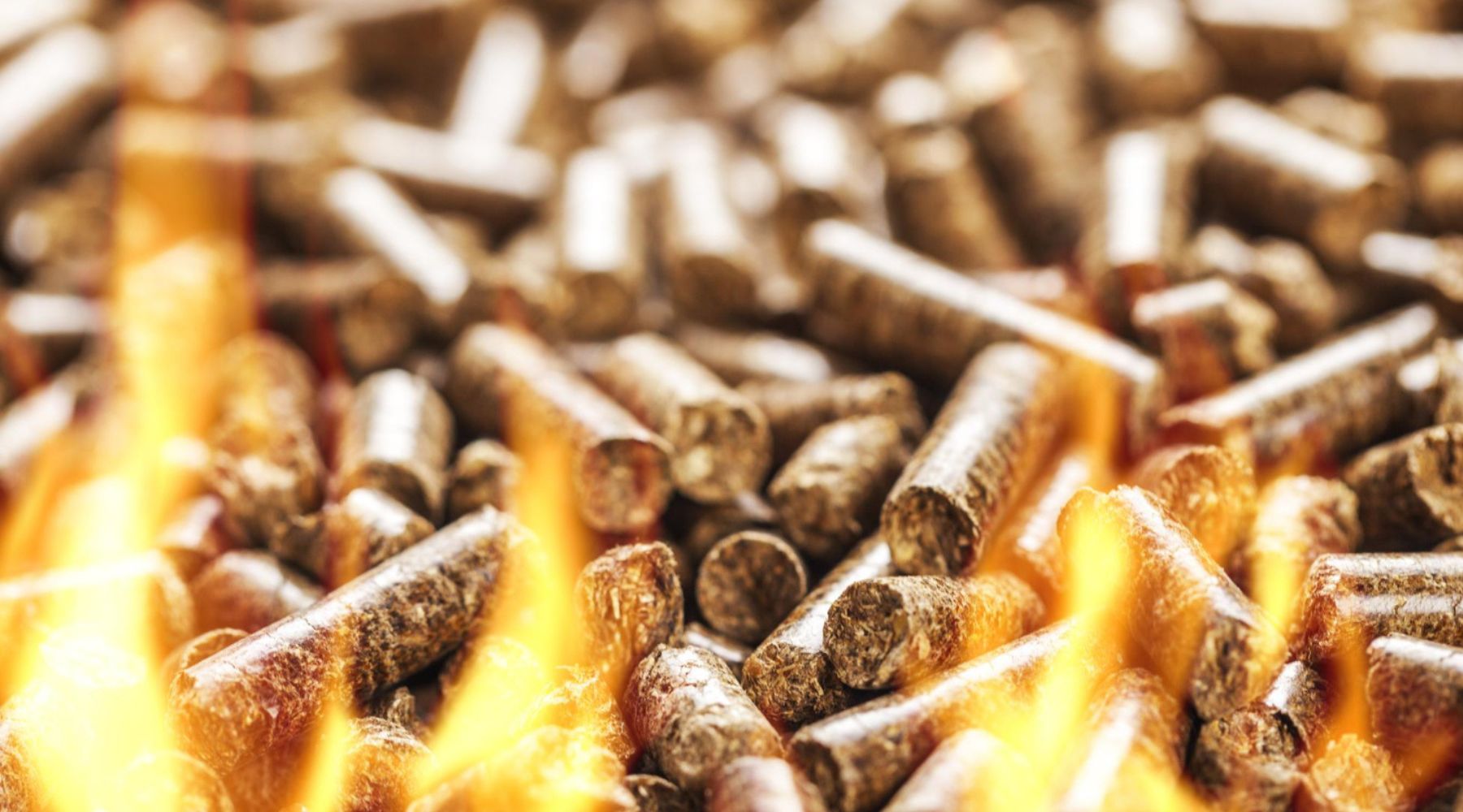 Qu'est ce qu'une chaudière à granulés de bois